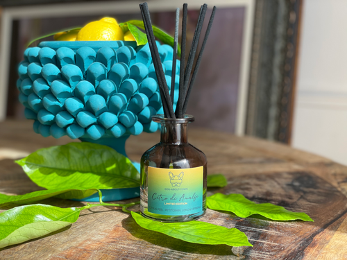 CITRO DI AMALFI - REED DIFFUSER | Dog about town