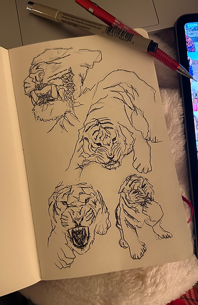 tiger doodle 2023 | the work of saachi