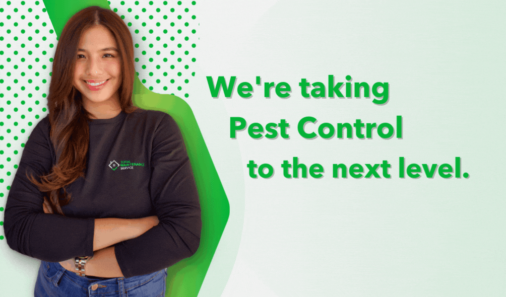 Remote Rodent Monitoring Equipment | Total Pest Access