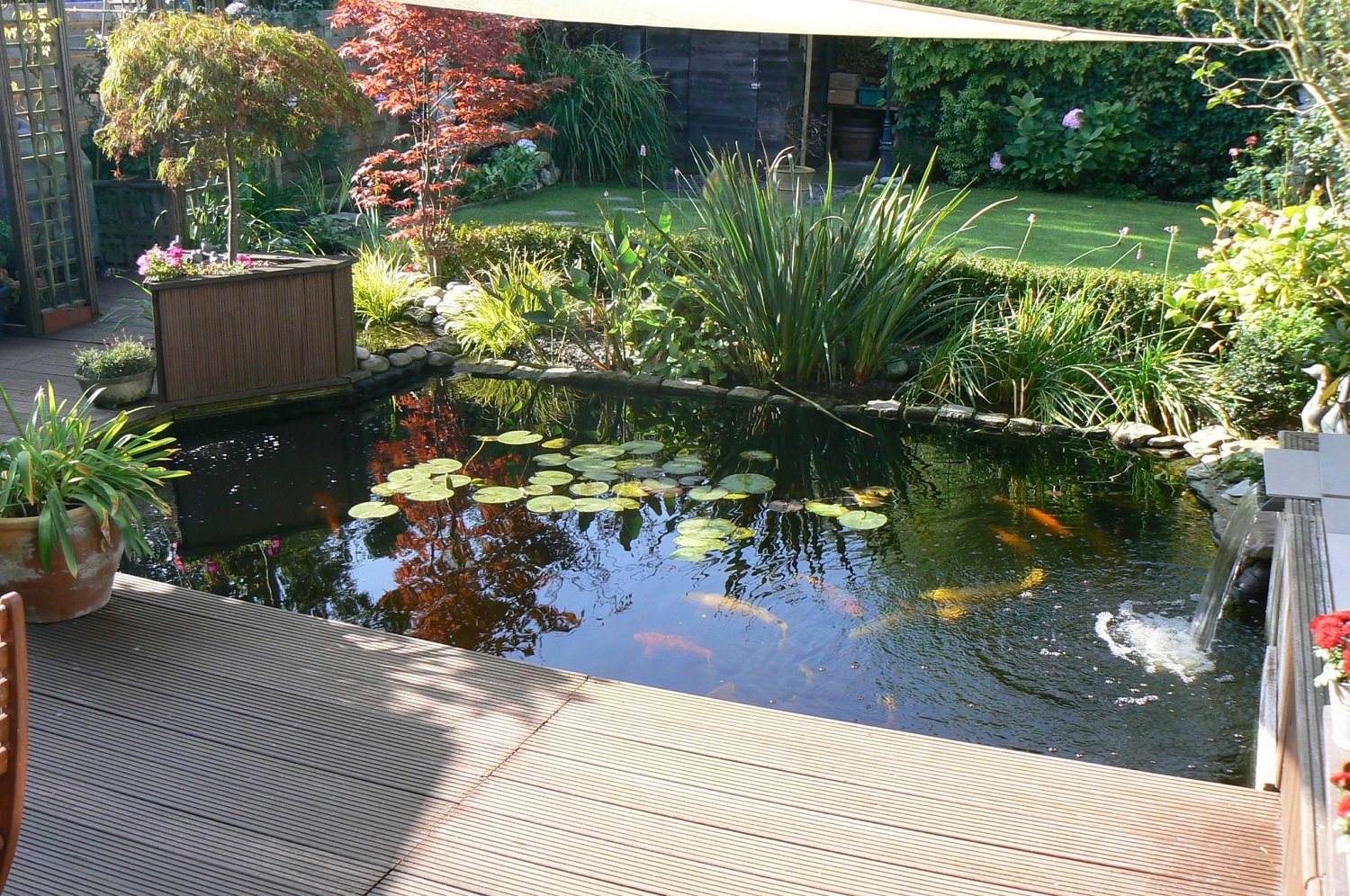 Bassin de jardin | LA TRANSPARENCE | Belgique, Bruxelles, Wallonie, Fl