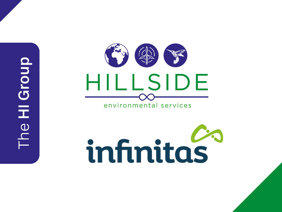 Hillside and Infinitas Merge to Form HI Group: A New Chapter in ...