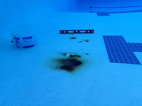 Help! What Are These Black Spots in My Pool?