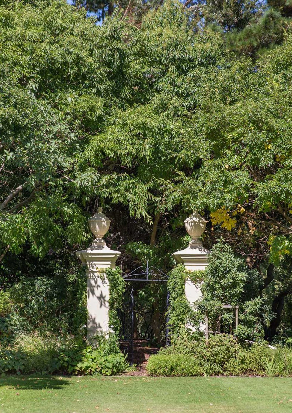 Carrie Latimer Landsape Design | Portfolio