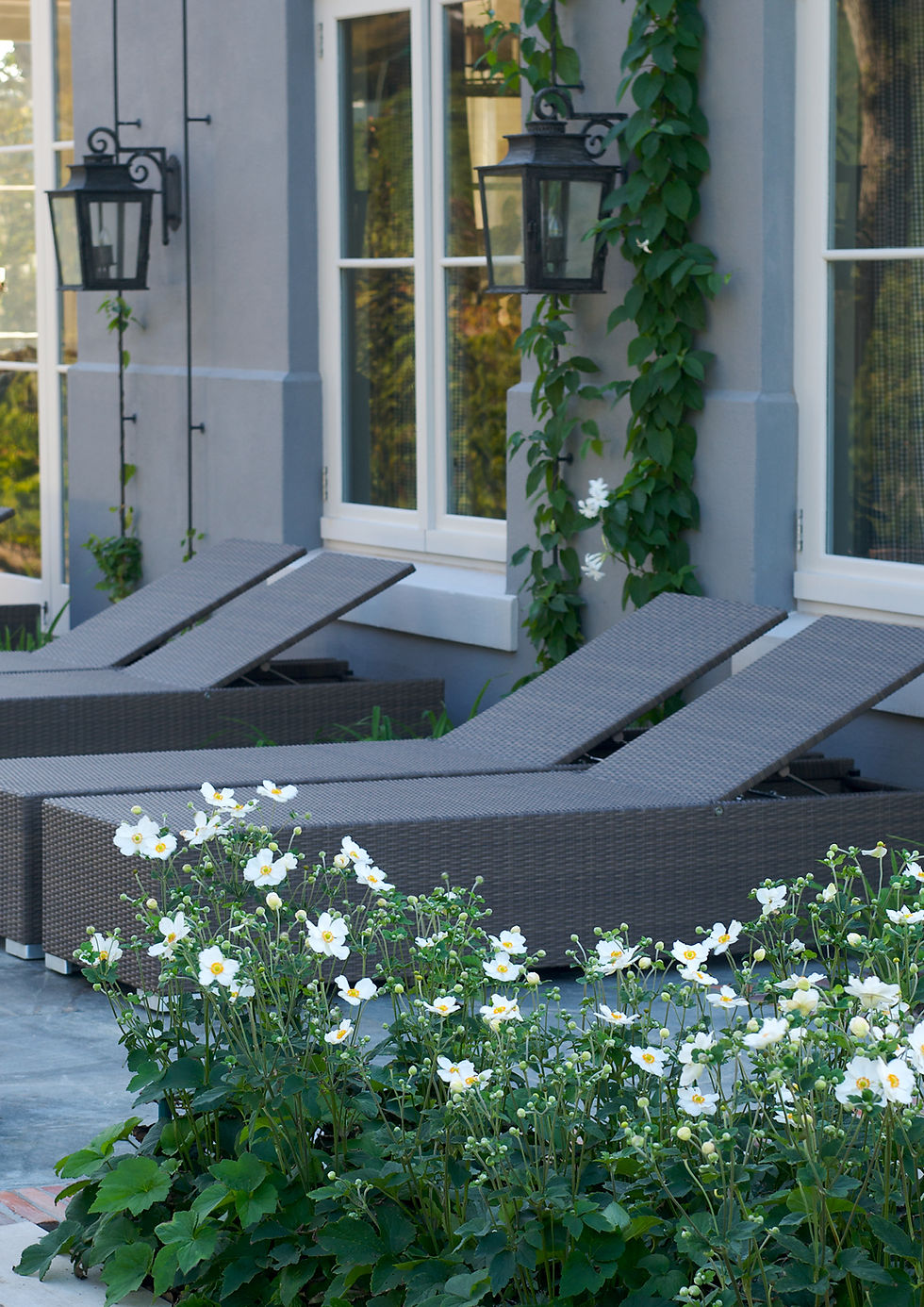 Carrie Latimer Landsape Design | Portfolio