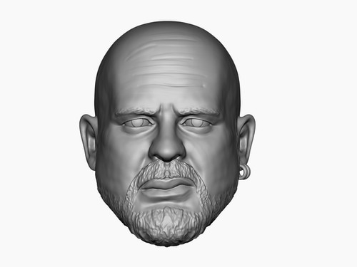 Horace Hogan 3D printed custom action figure head | Veg3d