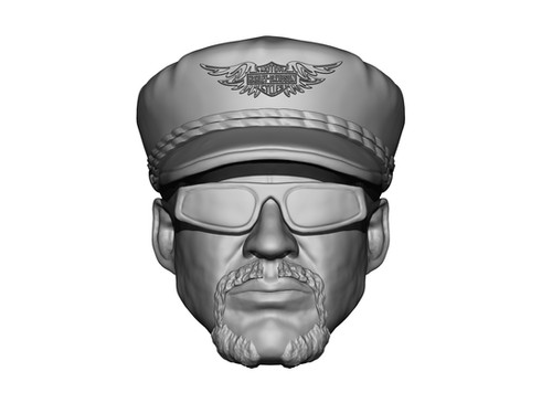 Hawk debut with removable cap and glasses 3D printed custom action ...