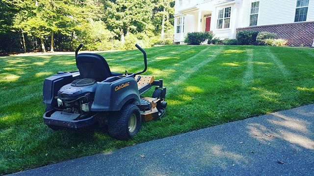 Lawn Care Gallery | lrmlandscapes