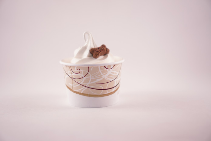 Ice Cream Shop | Kone King | Buffalo, NY