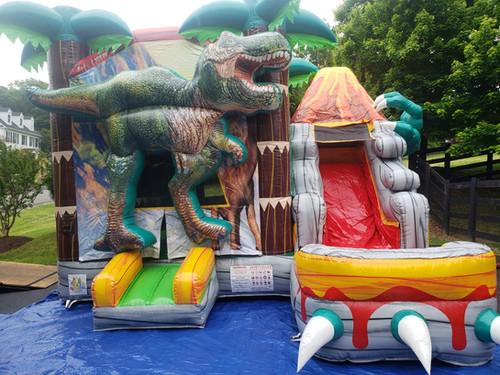3D T Rex 300$ Dry 350$wet | My Little Castle