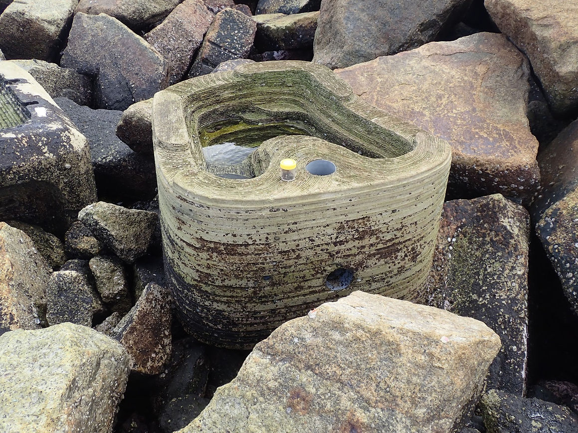 Our Structures | Eco-shoreline Engineering Project