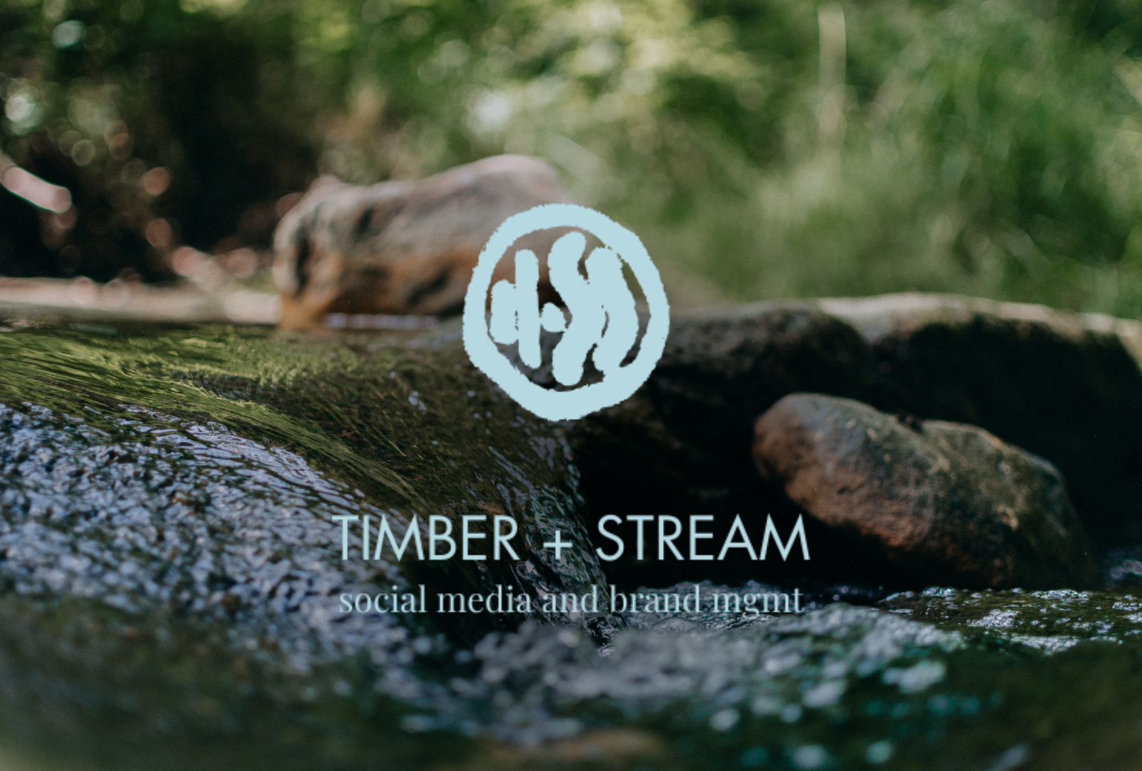 About Us | Timber