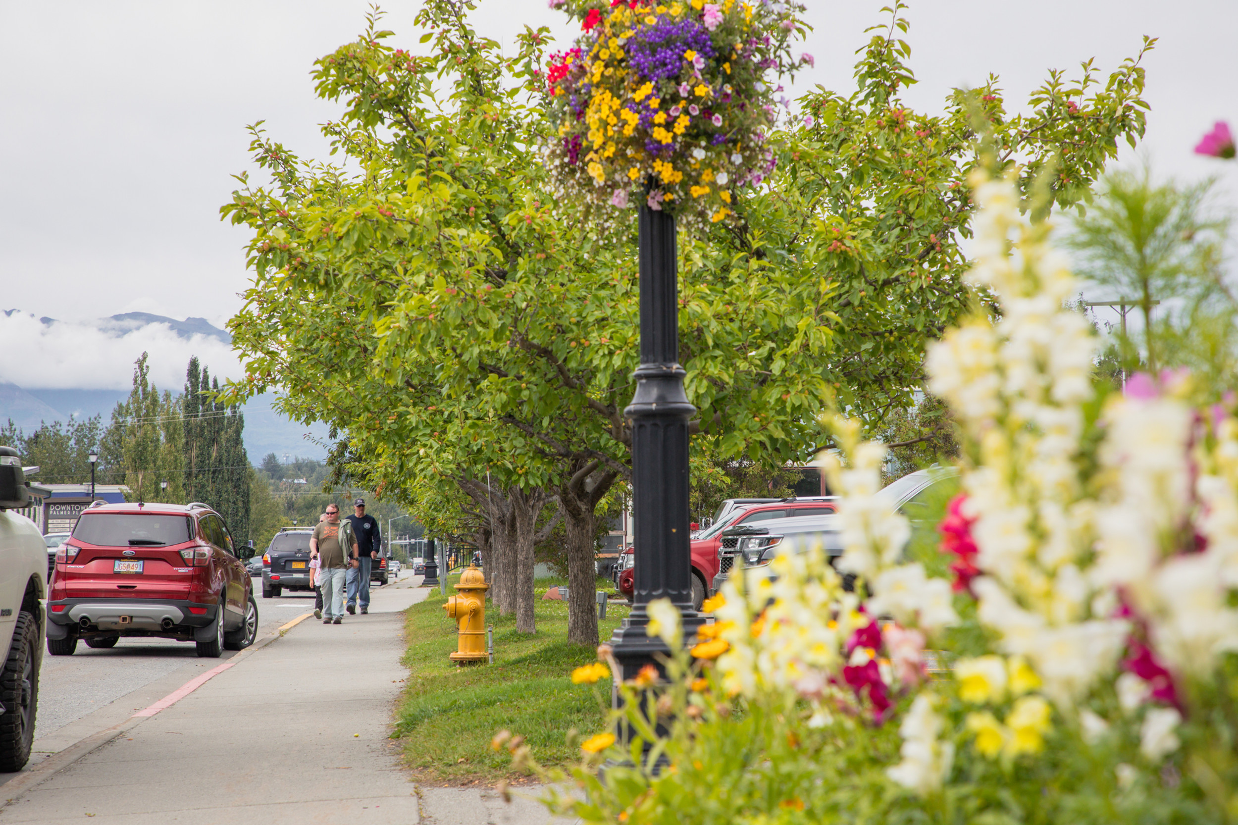 MPO Boundary | Mat-Su Valley for Transportation