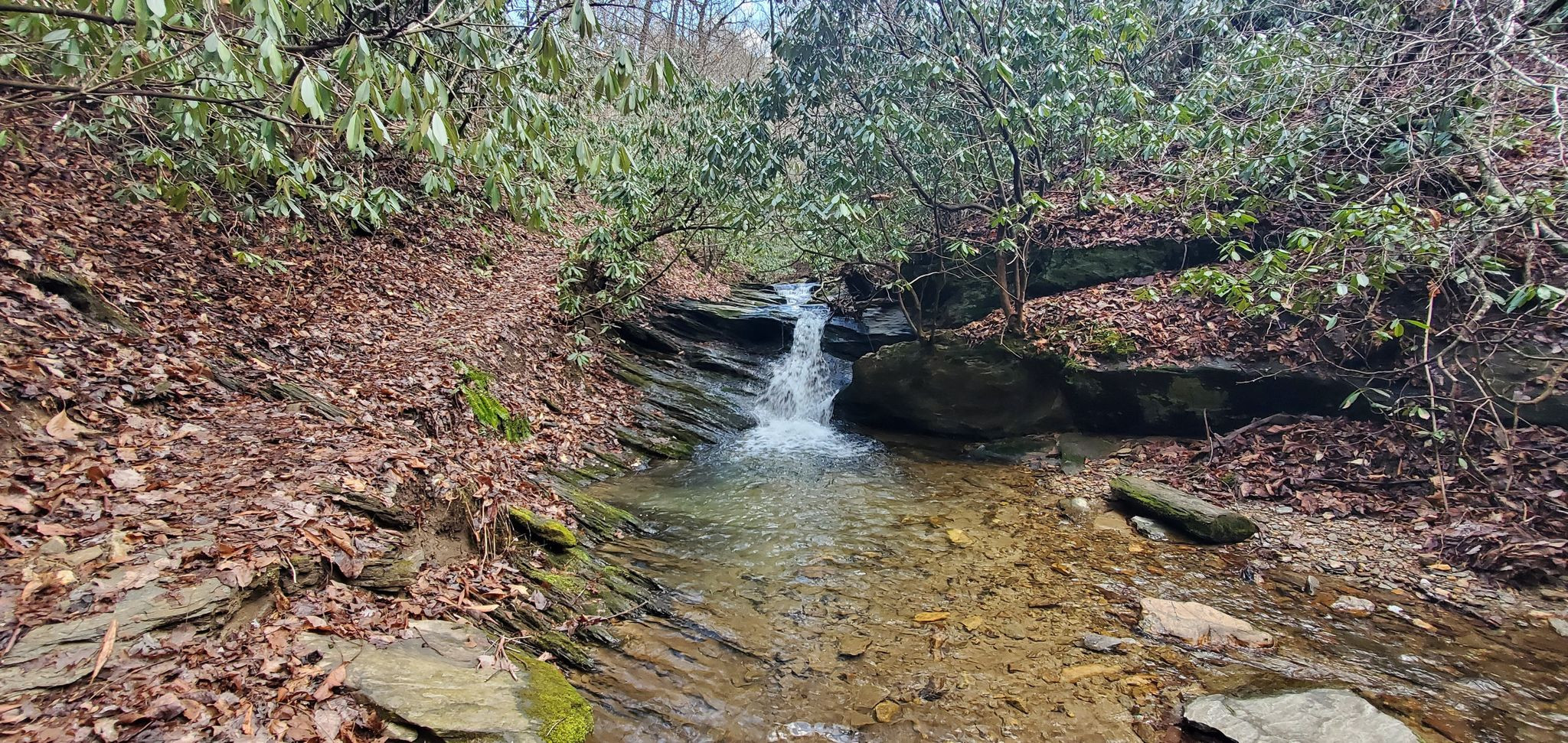Gully Creek Trail Loop