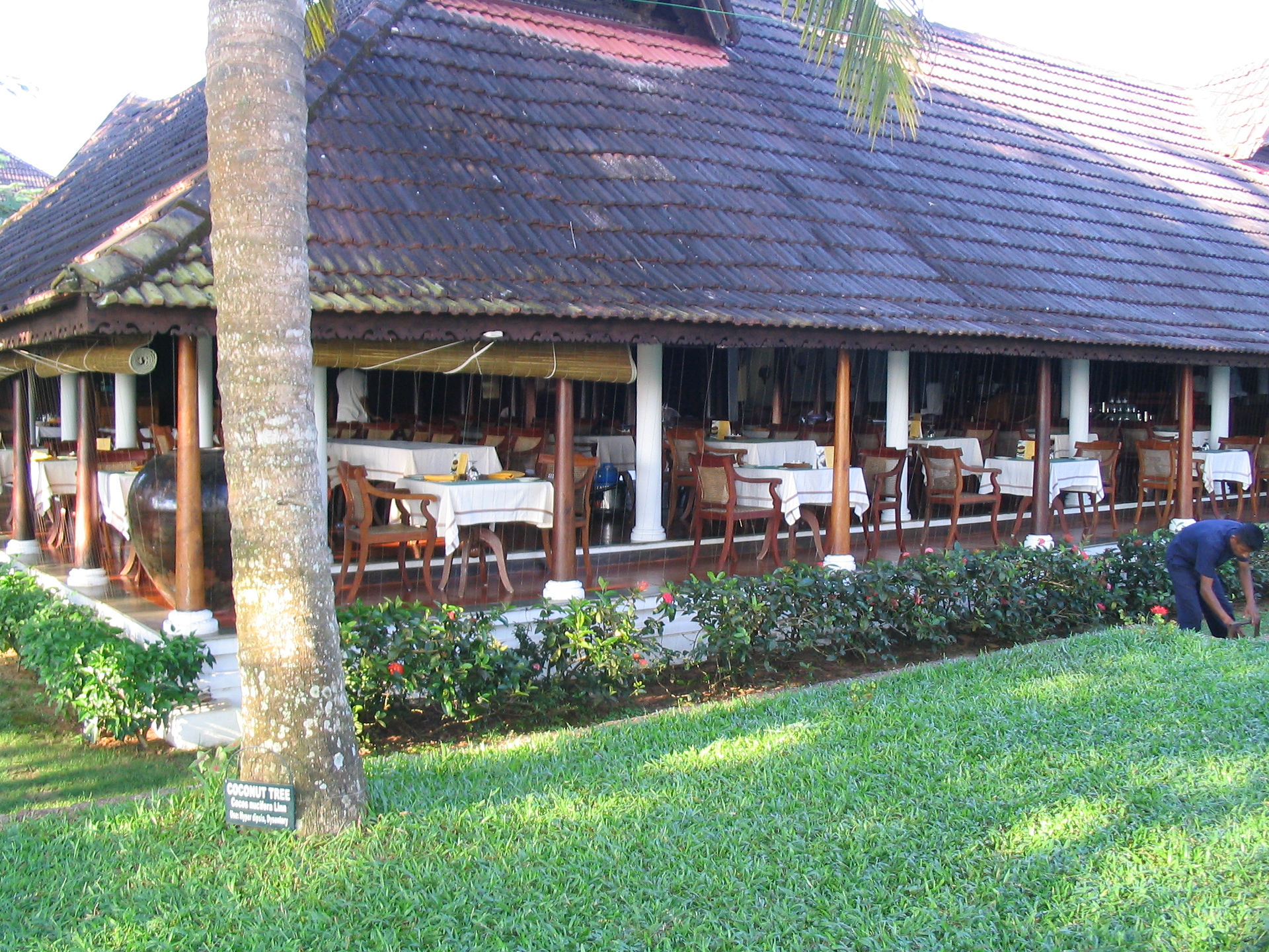 DUCE Playscape Elements Design Charrette | Portfolio