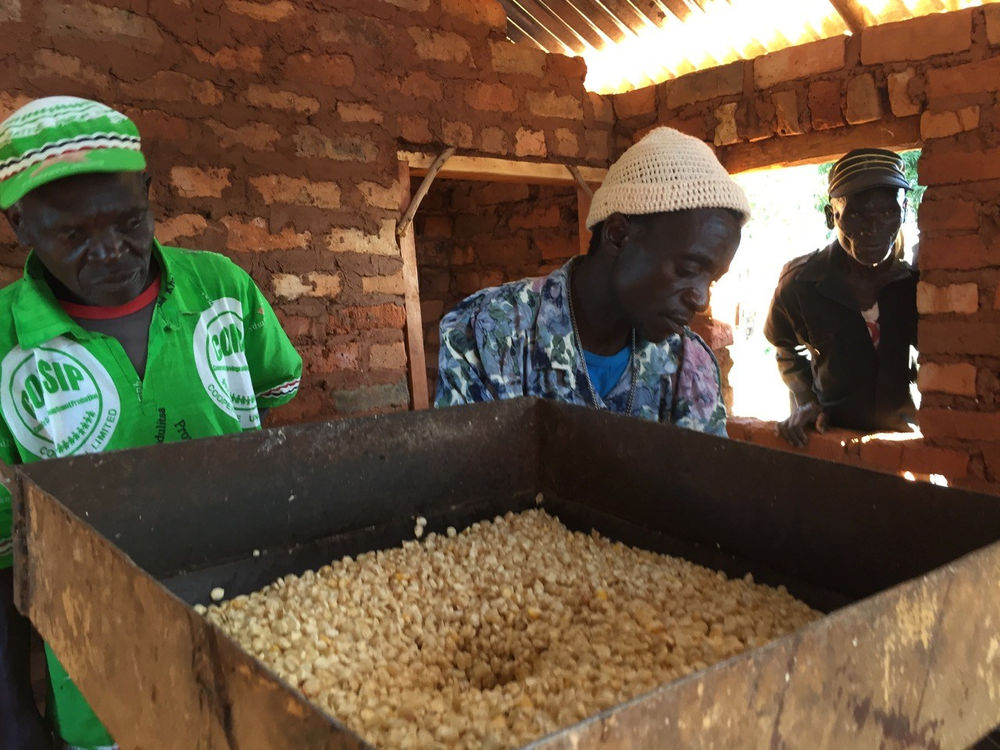 Collective Prosperity: New Warehouse for Crops in Malawi