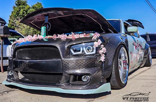 Predator bumper | M Street Kustoms