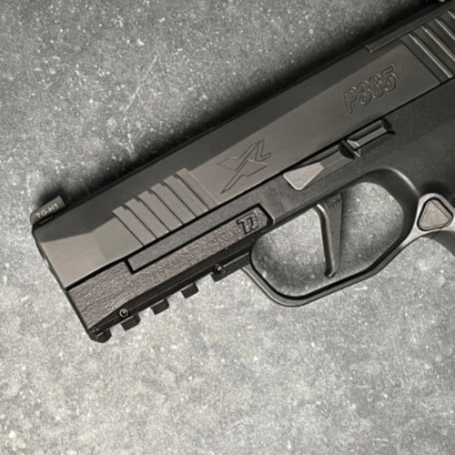 Support hand thumb placement and accessory rail ?? | SIG Talk