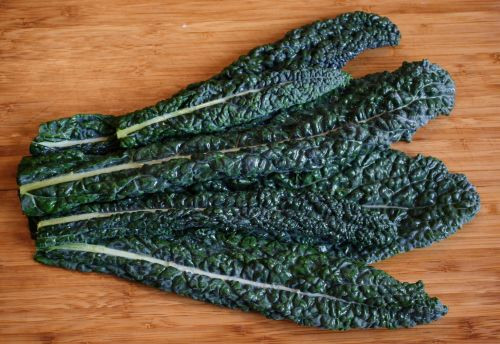 Kale 'Lacinato' | Megan'sHeirloomSeeds