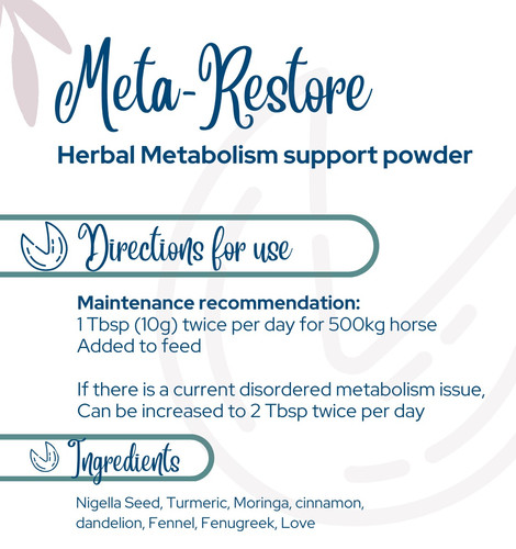 Meta-Restore | The Graceful Equine