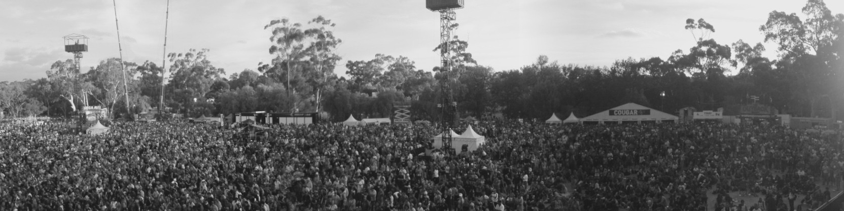 Rogue Traders Music Official