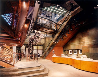 discovery channel pixelation