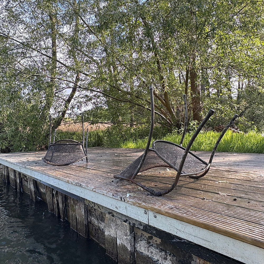 What Lies Beneath: A Morning Swim and an Unexpected Discovery