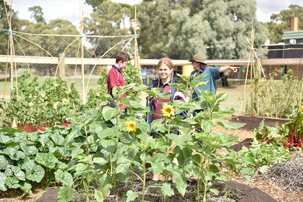Learning to grow our own food