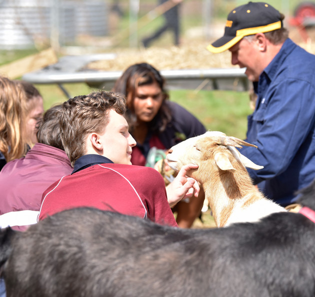 Our Farm Program | Bundoora Secondary College