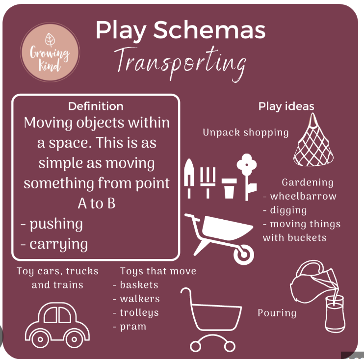 Play Schemas & Visual Aids