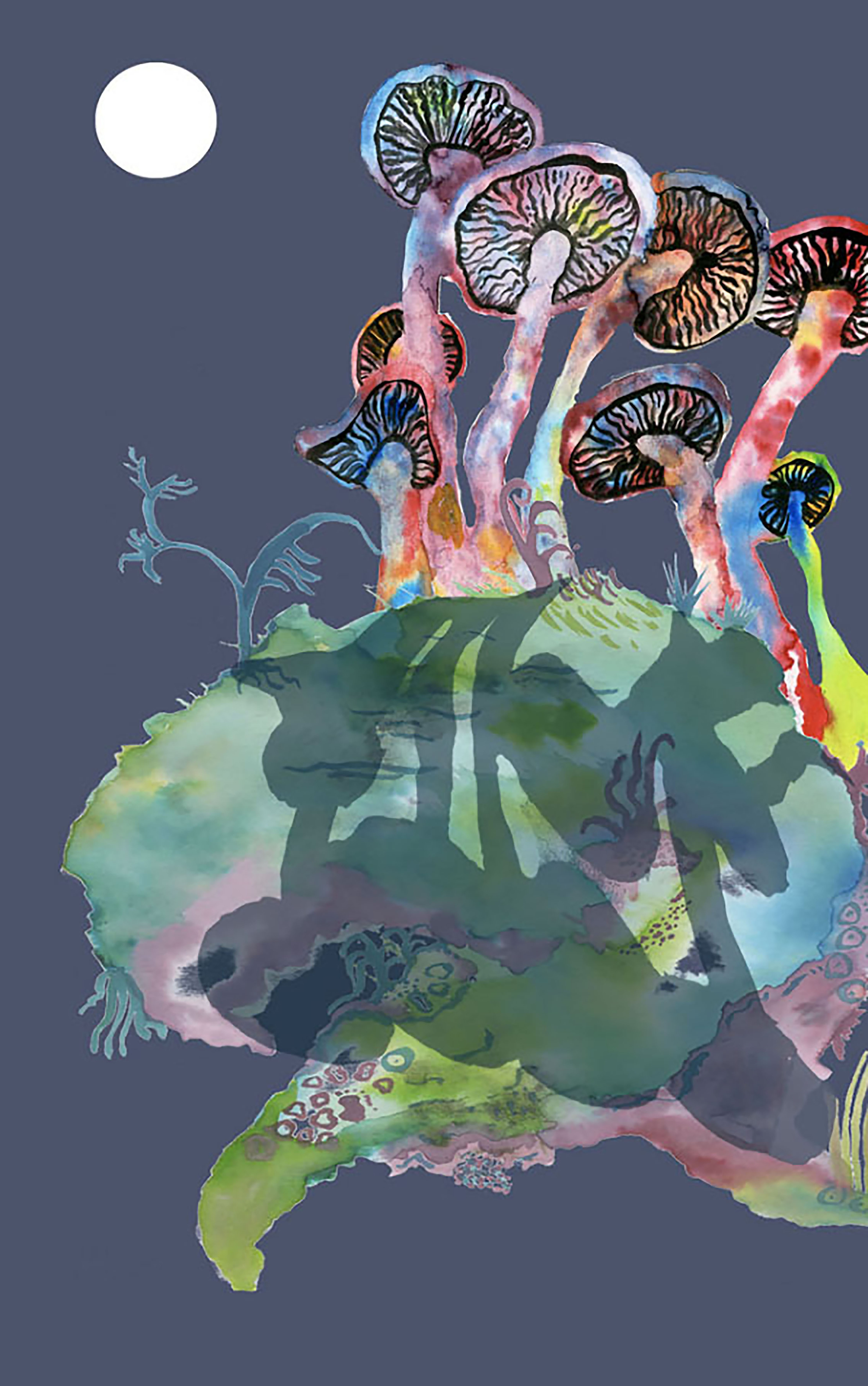 Visual Art Open Prize Award l Home