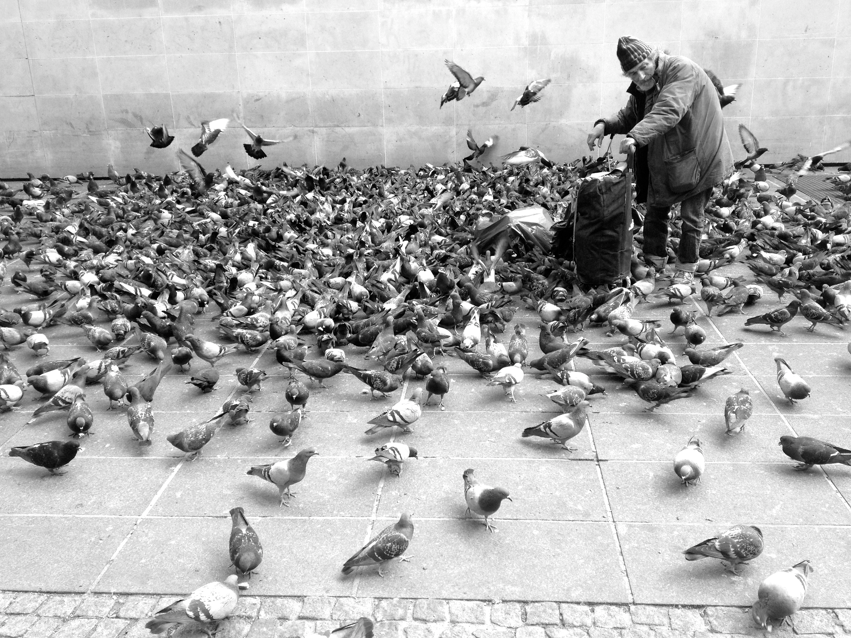 Visual Art Open Prize Award l Home