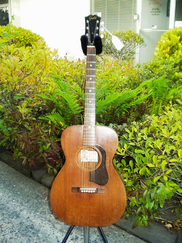 1958 Mahogany GUILD M20 Ghost Badge | Red Beard Pro Audio