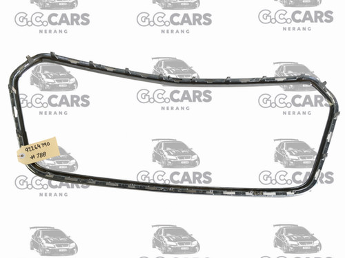 HOLDEN COMMODORE GENUINE GM Grille Trim Moulding Radiator Grille Chrome ...