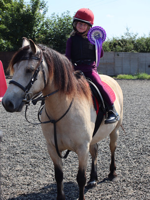 Gallery | bristolridingschool