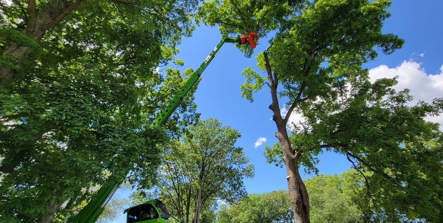 Arborist | K&H Tree Service | Kalamazoo MI