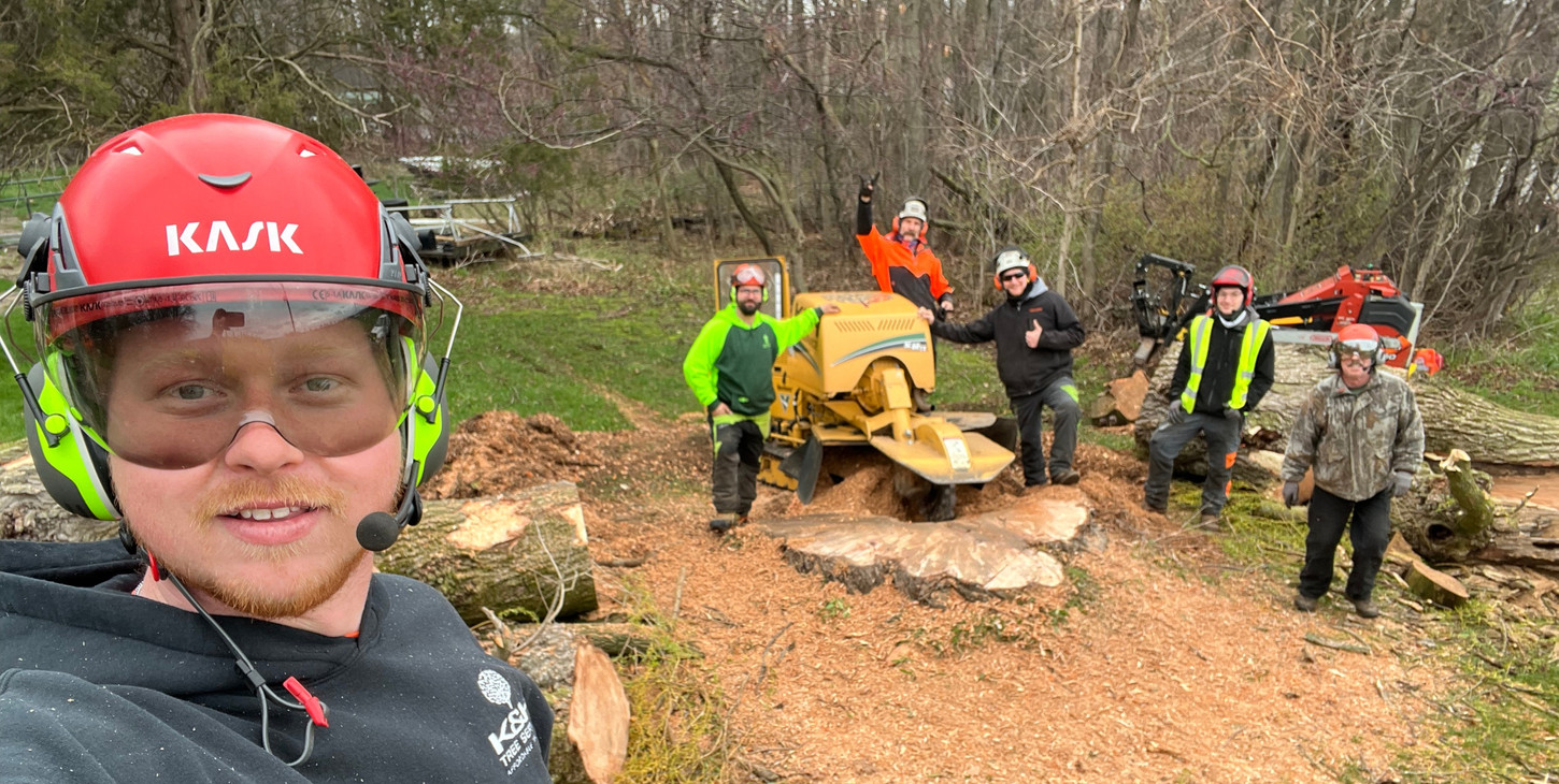 Arborist | K&H Tree Service | Kalamazoo MI