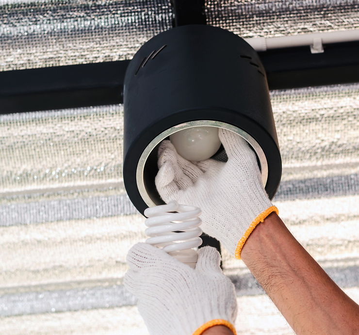 prosure property services