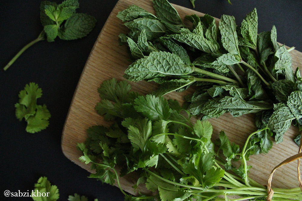 Dhania & Podina // Coriander and Mint leaves