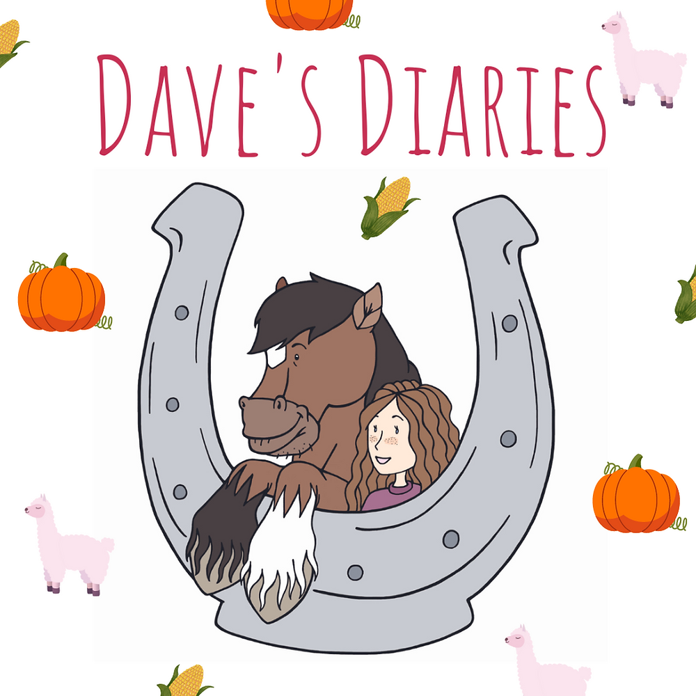 Dave and Darcy go to a pumpkin patch