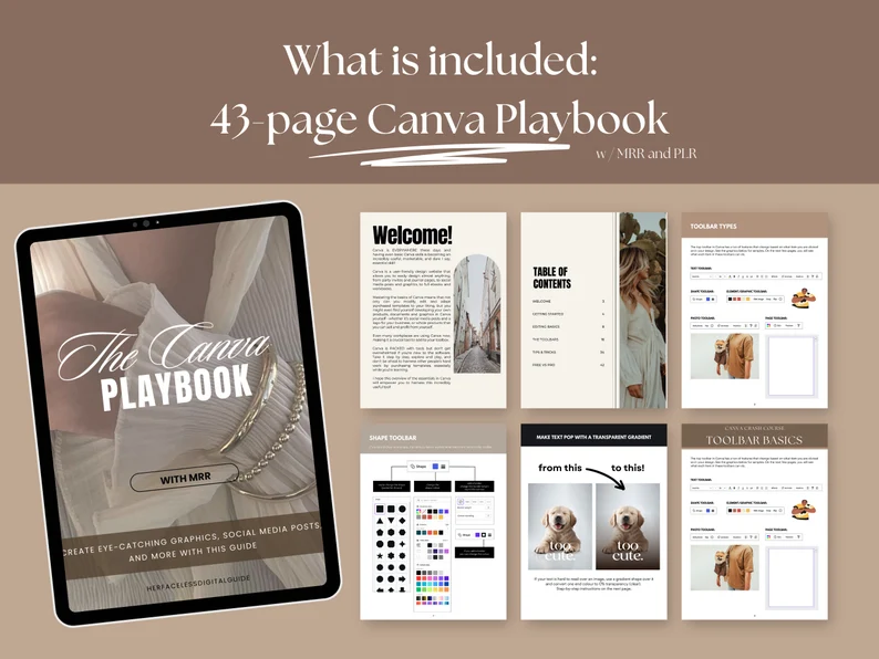 The 12-In-1 Faceless Marketing Library | DFY Library