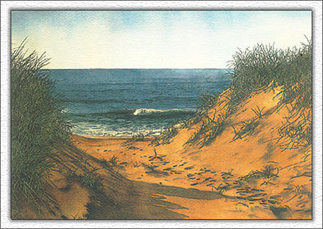 Cisco | Nantucket Gallery