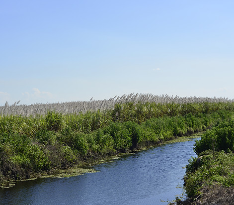 Our Commitment | FL Sugarcane Farmers