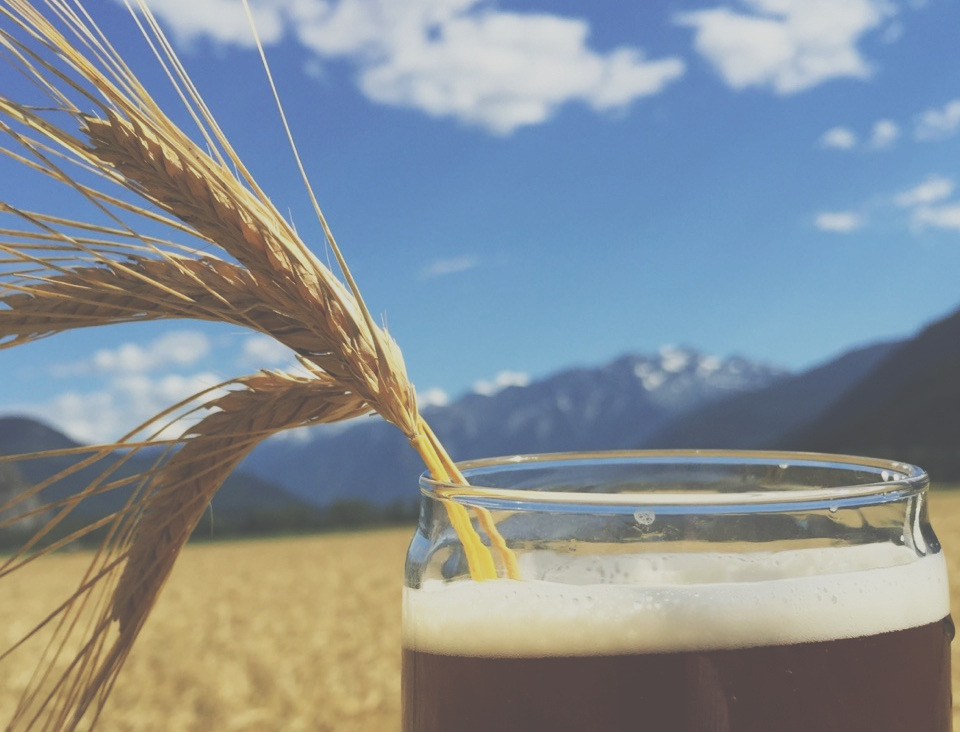 The Beer Farmers | Farm Brewery & Tasting Room