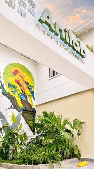 ¿Eres veterinario o manejas una Veterinaria? | Seamos Aliados | Anilab