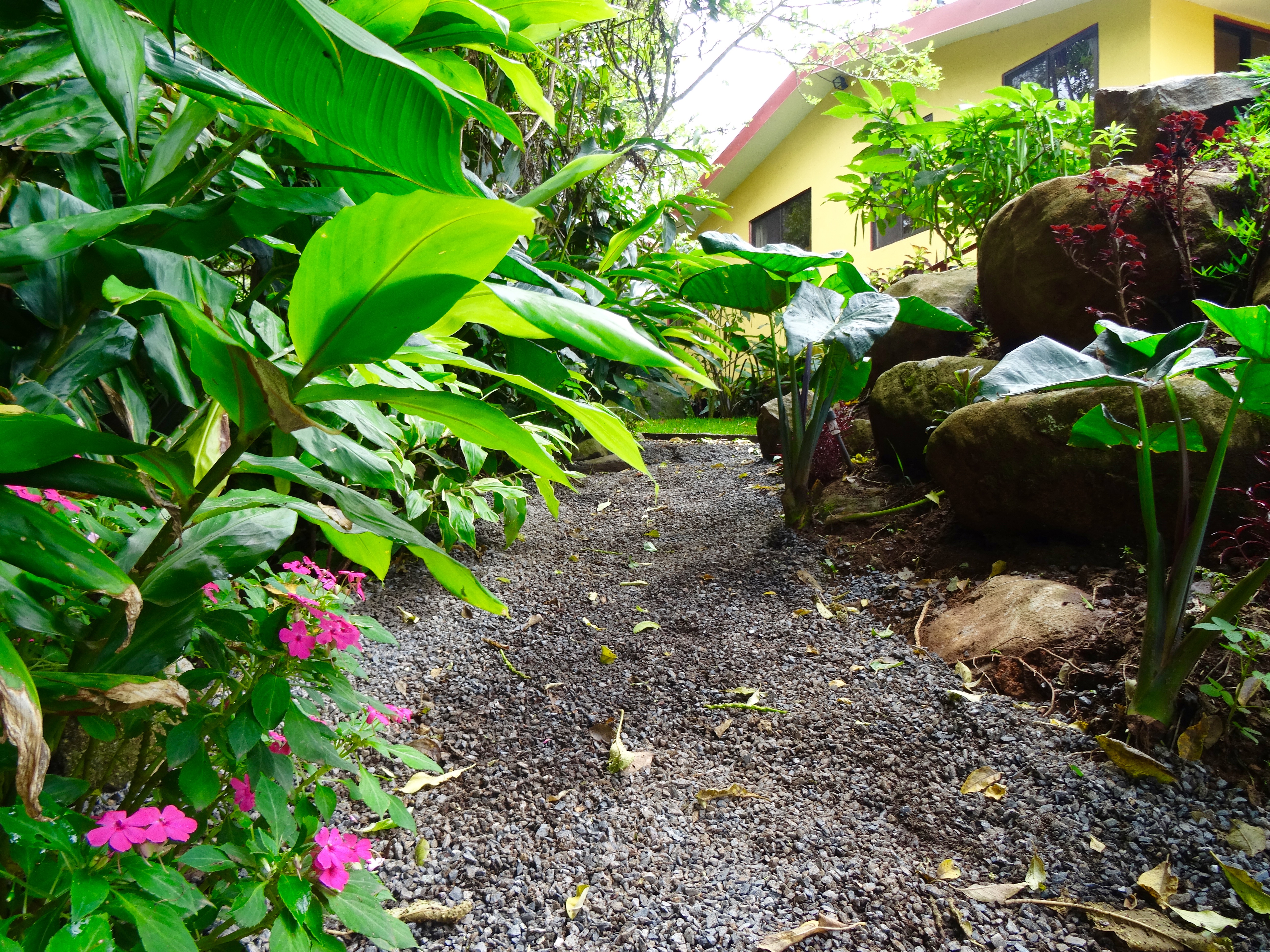 Visiting Us | Monteverde | Hidden Valley Farm