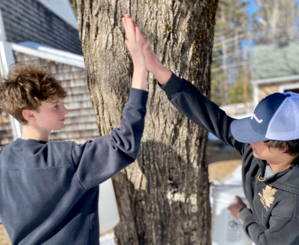 Maple Sugaring - A Fan Favorite Project Based Learning Class at JRHS