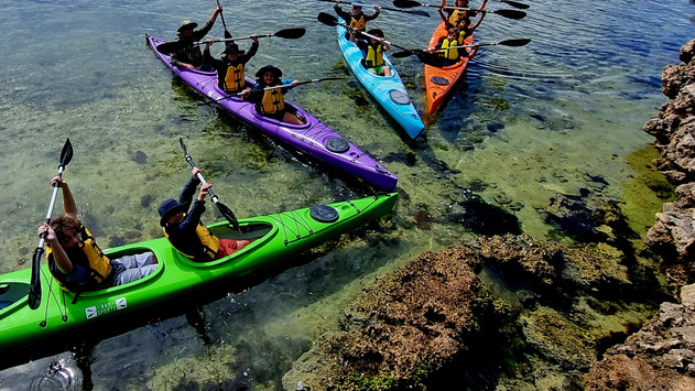 Kayaking with Xtreme Kites & Paddle, offer guided tours around ...