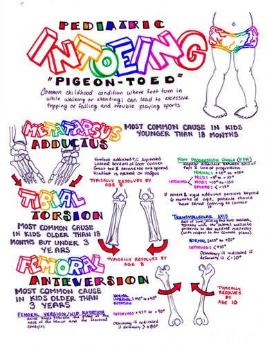 Hanson's Anatomy | Med School Notes & Study Guides | Pediatrics E-book