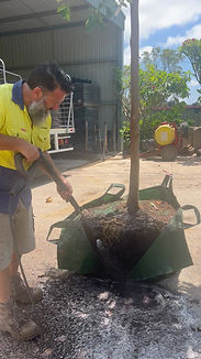 Services | Alpine Treemovals