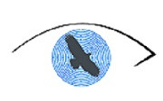 Eagle Eye Vision Care LLC